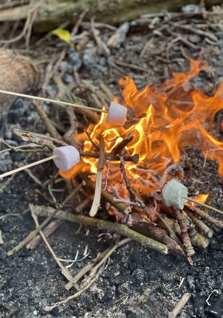 Flame Quest - KidsZone (5-16 years) - Bushcraft Magazine