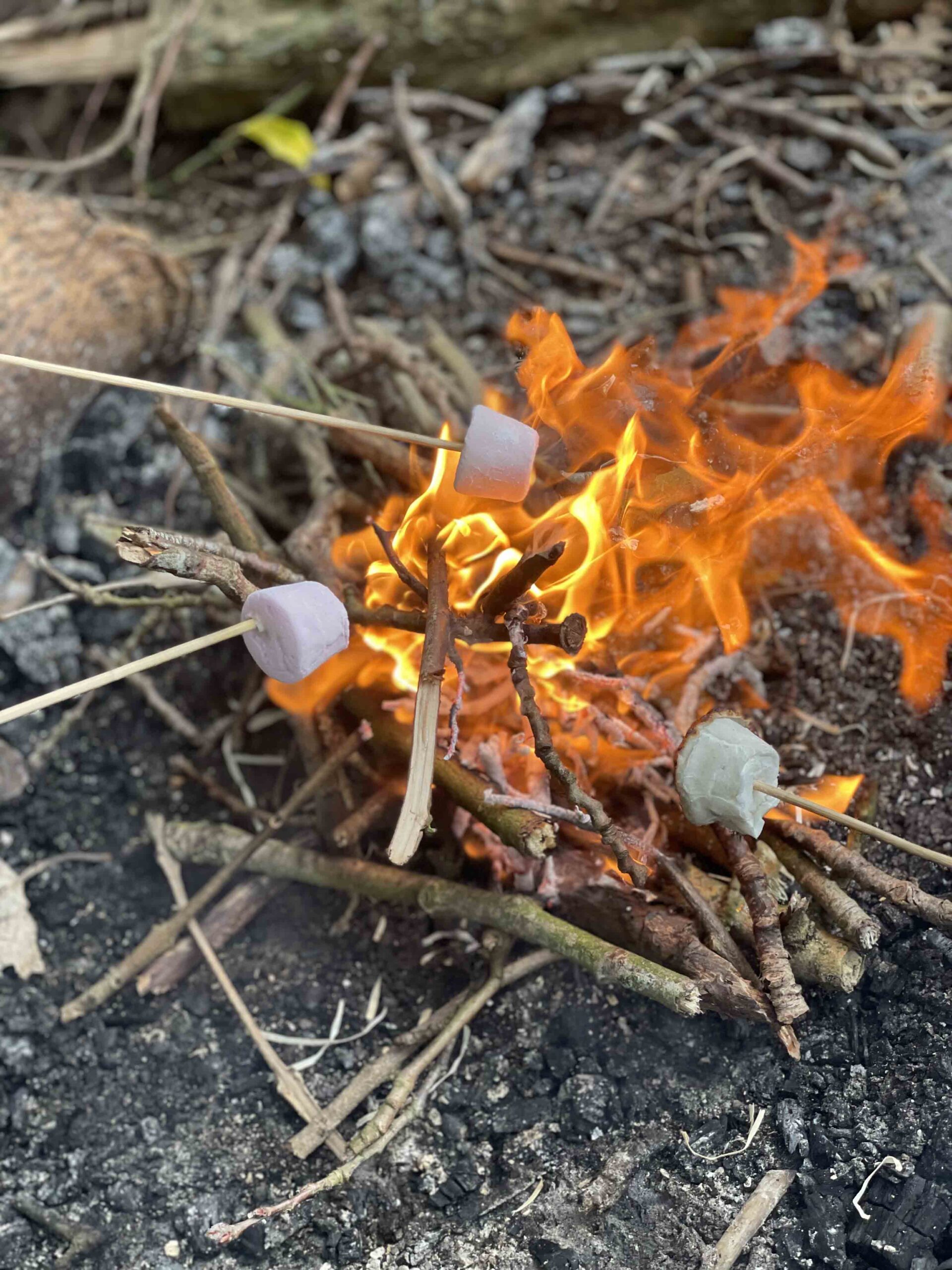 Flame Quest - KidsZone (5-16 years) - Bushcraft Magazine