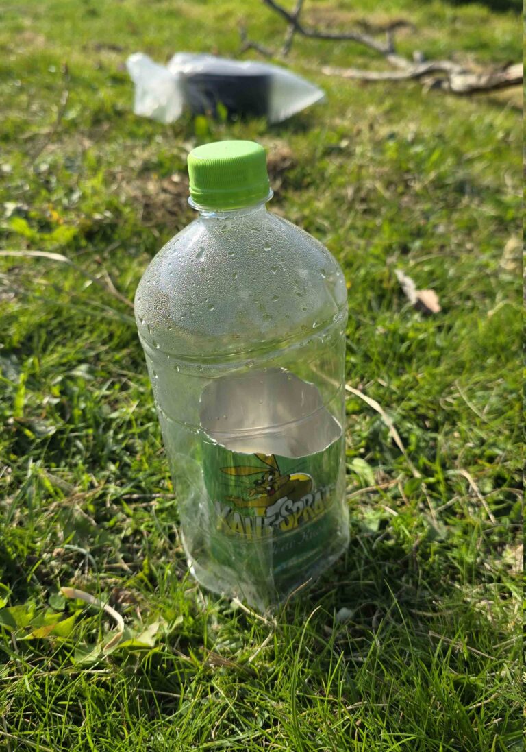 Clean Water in a Survival Situation - Bushcraft Magazine